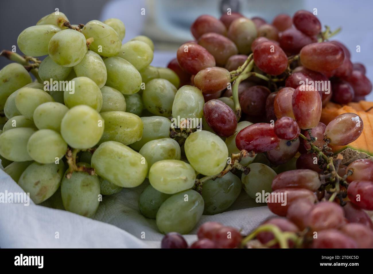Party guests have appetizing bunches of green and purple grapes set up ...