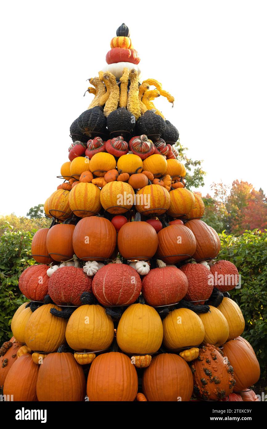 A tree made of pumpkins and gourds on display at the Minnesota ...