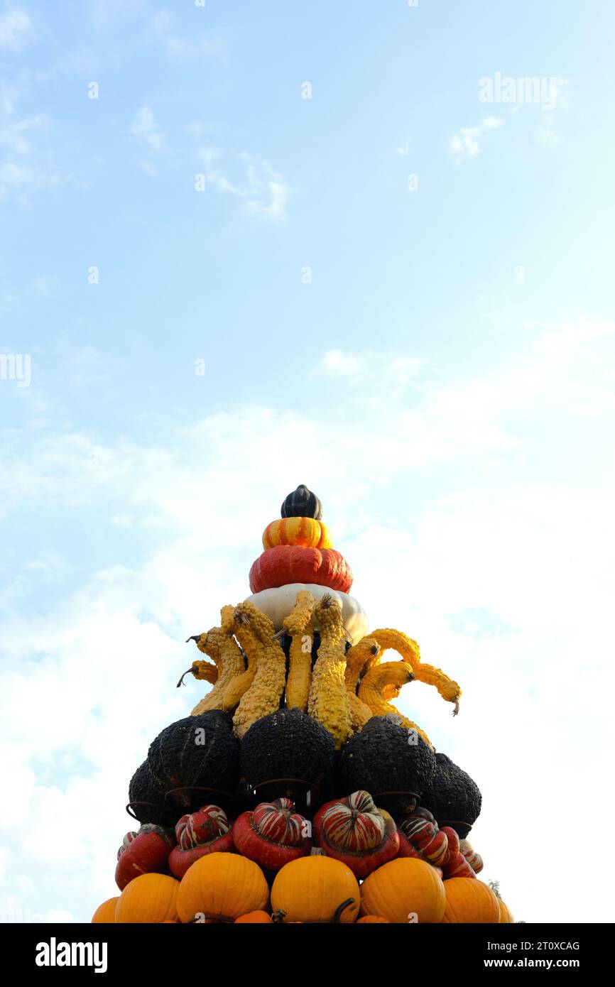 The top of an arrangement of pumpkins and gourds on display at the ...