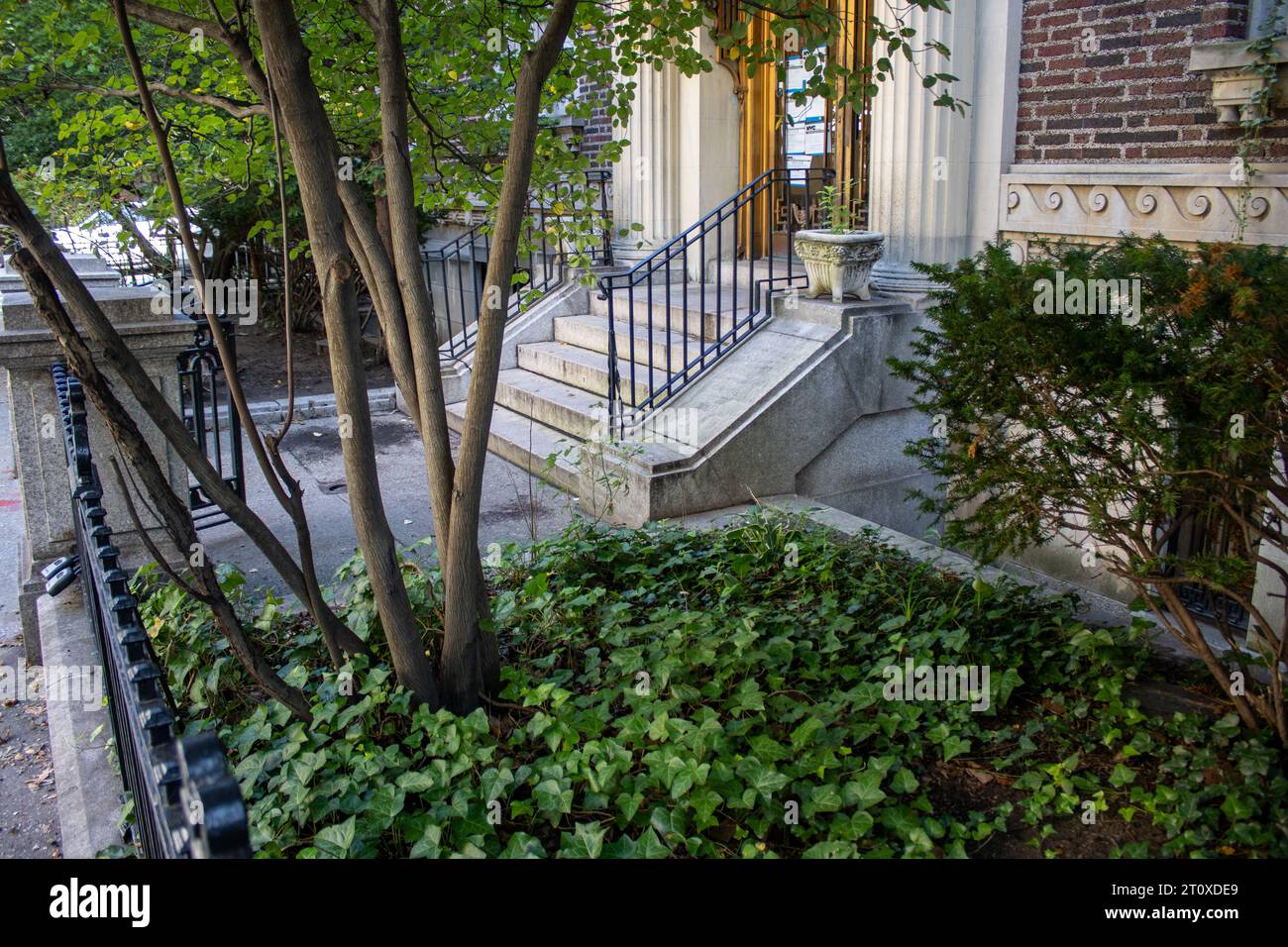 A scenic view of green plants behind a fence in Brooklyn, New York city ...