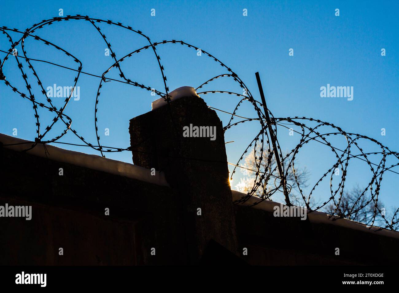 Barbed wire on the prison fence. A closed prison. Security concept ...