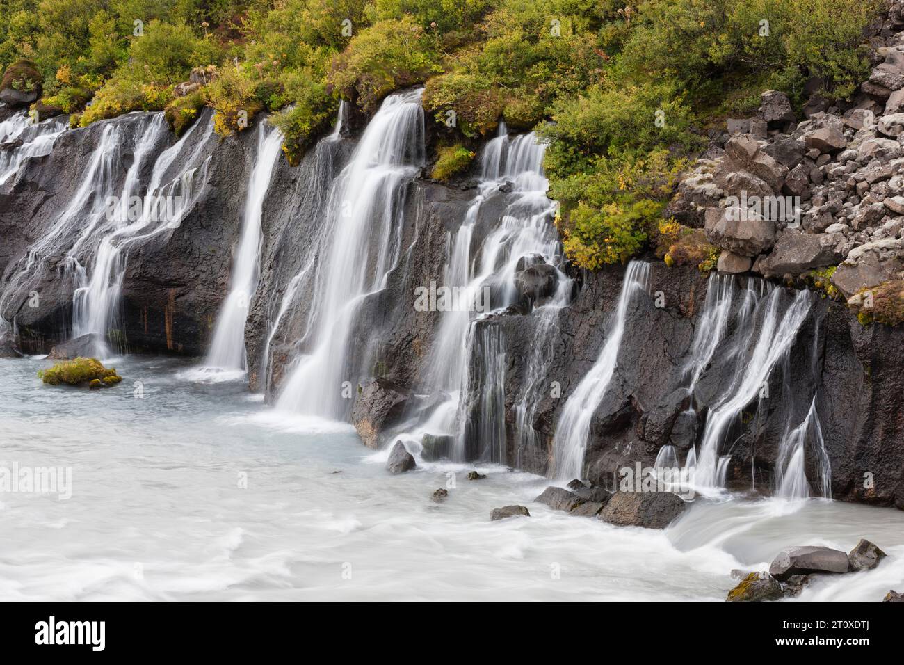 Waterfalls flowing from lava rocks with lush vegetation, Hraunfossar ...