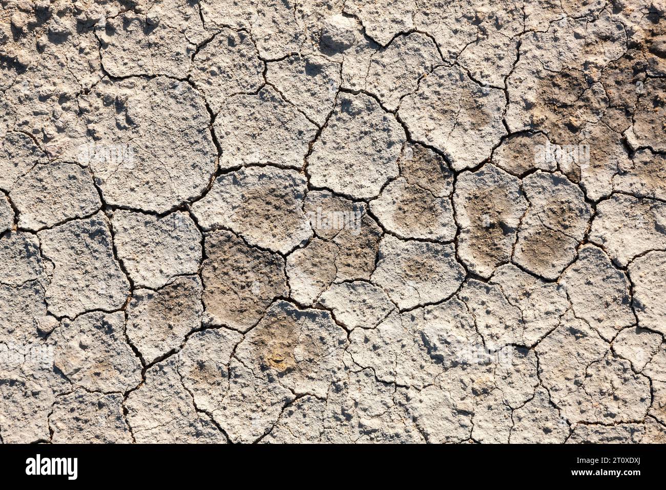 Arid dry cracked earth hi-res stock photography and images - Alamy