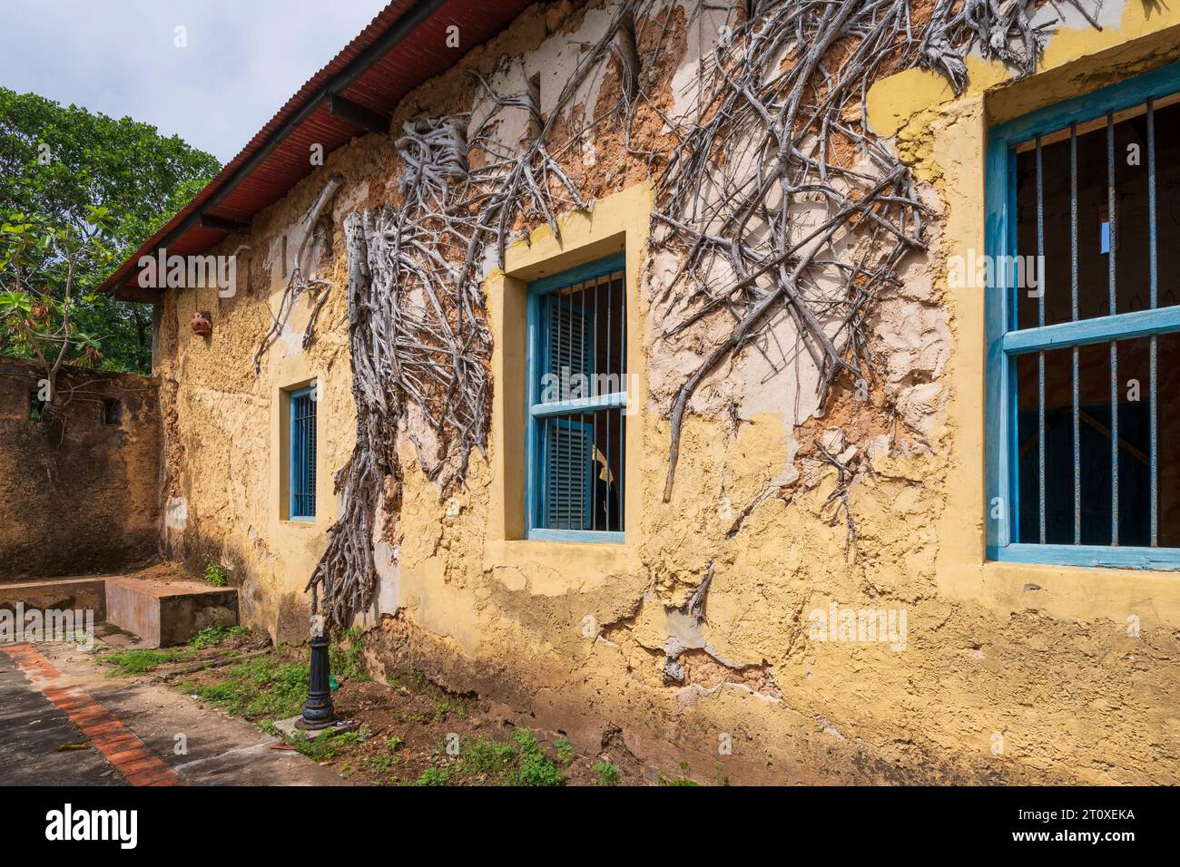 Old windows on Prison Island ( Changuu Island), Zanzibar, Tanzania ...