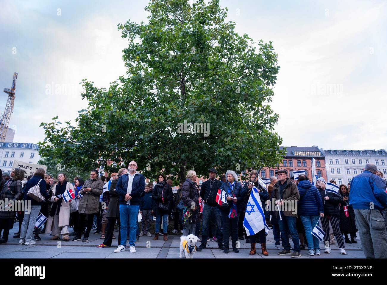 Solidarity demonstration with Israel "Solidarity with Israel" organized ...