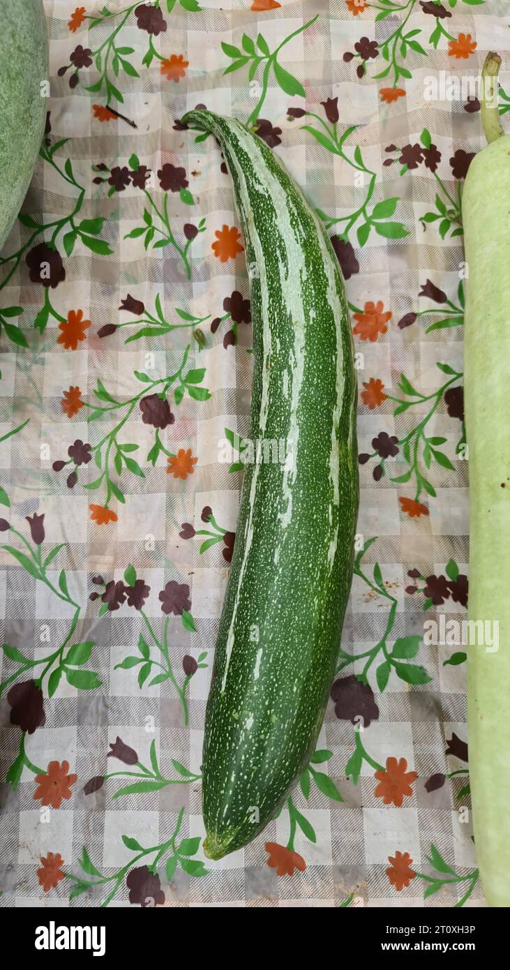 Navelim hi-res stock photography and images - Alamy