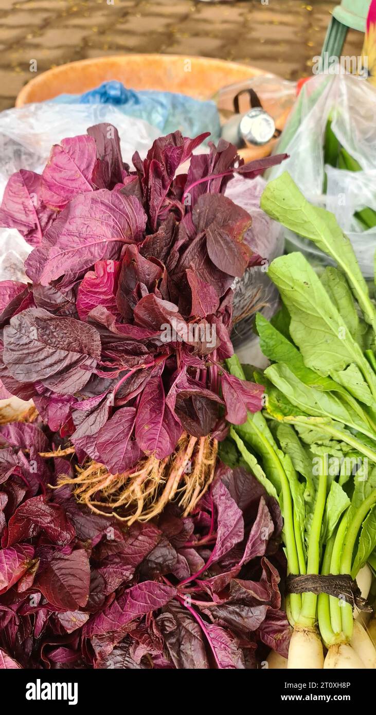 Navelim hi-res stock photography and images - Alamy