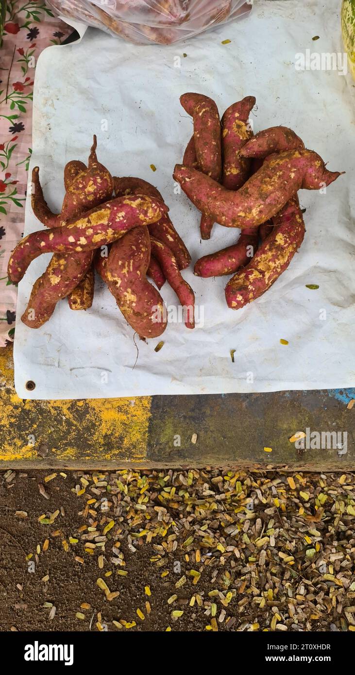 Navelim hi-res stock photography and images - Alamy