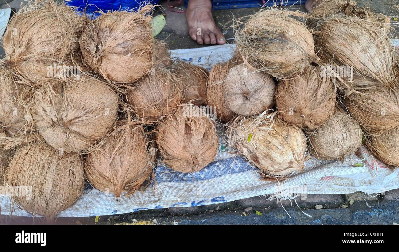 Coconuts for sale by the road side in Navelim village in South Goa in ...