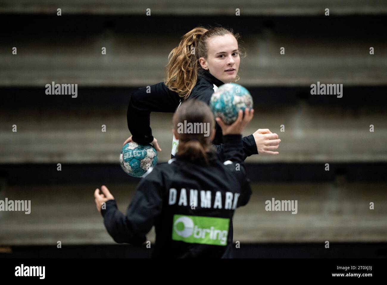 Goalkeeper Anna Opstrup Kristensen - The women's national handball team trains in Spektrum, DGI ...