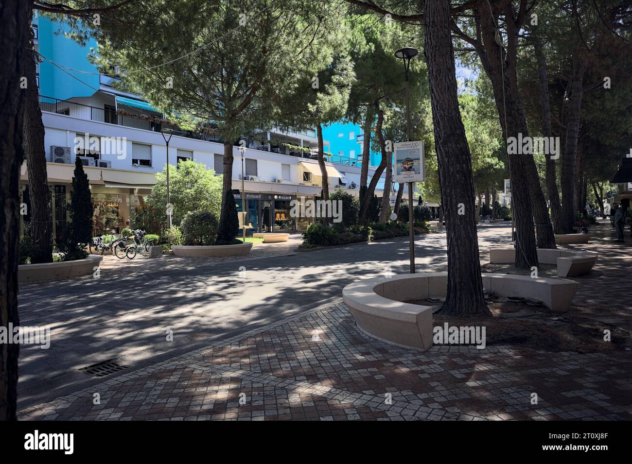 Boulevard arched by maritime pines and bordered by buildings in an ...