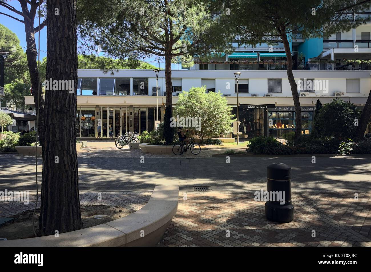 Boulevard arched by maritime pines and bordered by buildings in an ...
