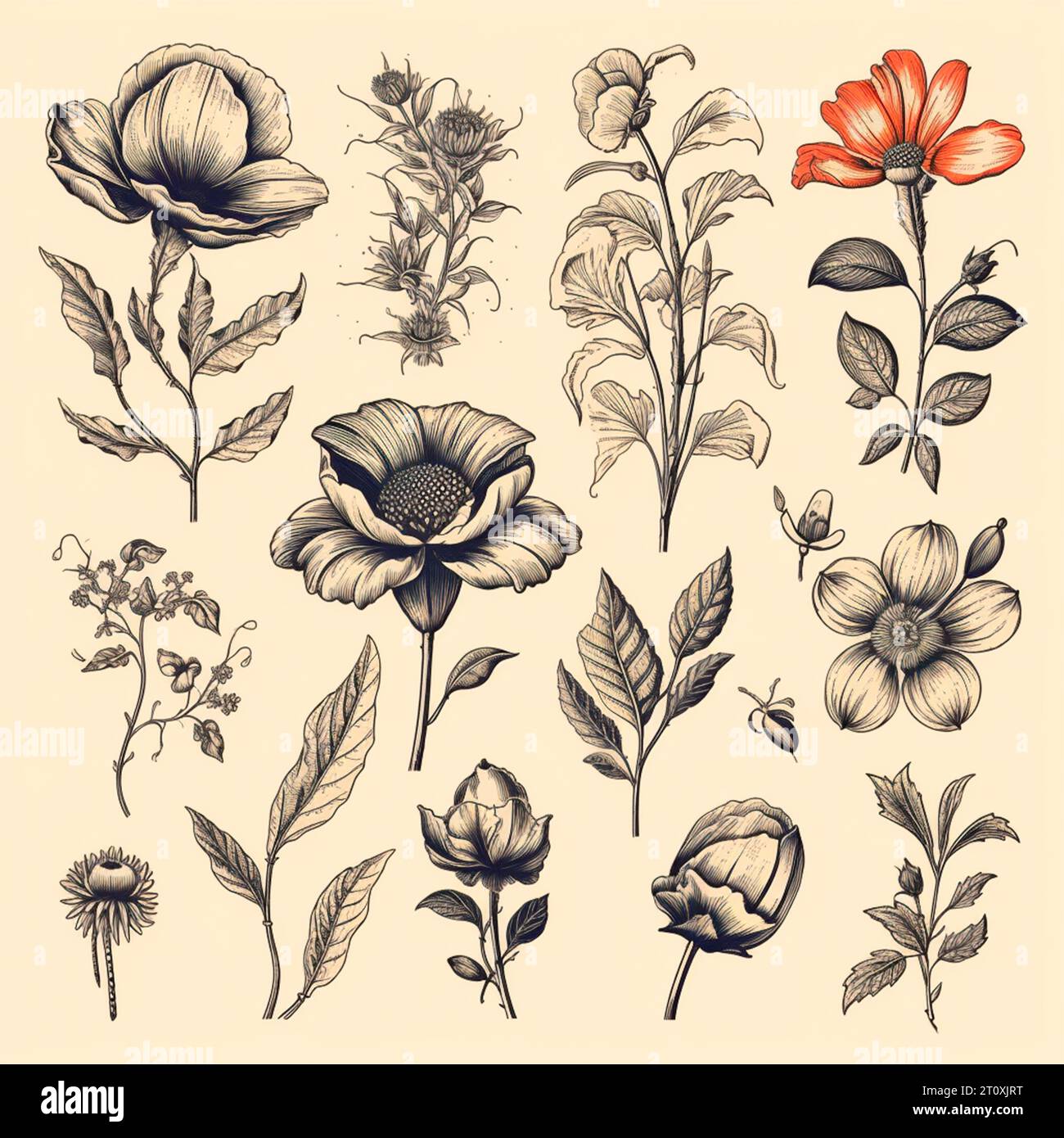 Color drawings of flowers and plants, hand drawings - image Stock Photo ...