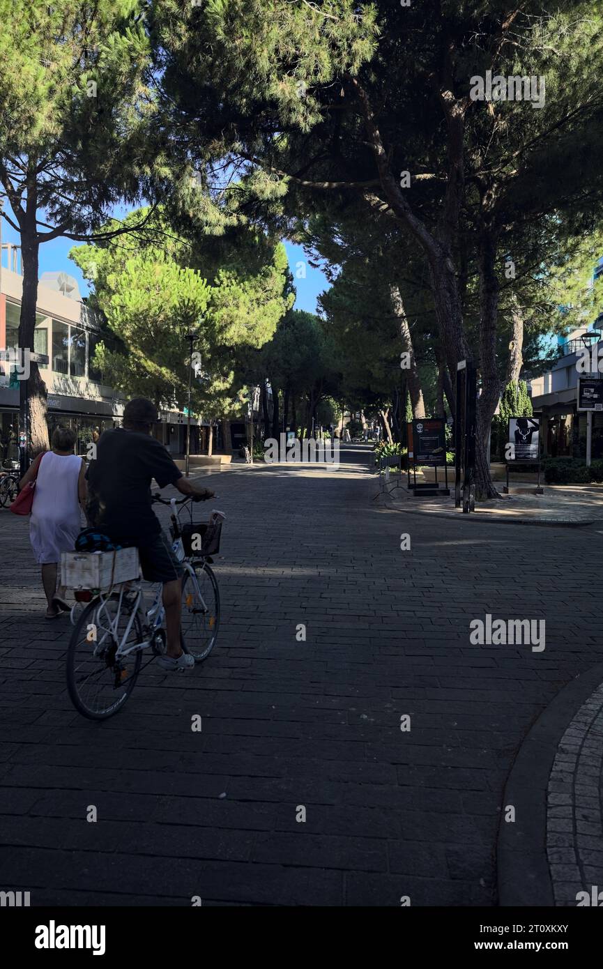 Boulevard arched by maritime pines and bordered by buildings in an ...