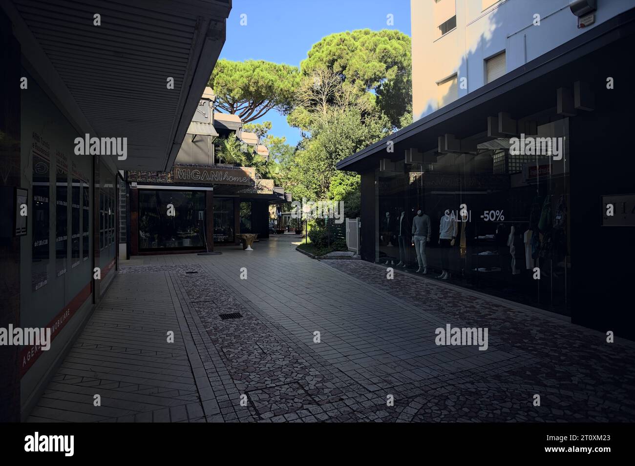 Alley with shop windows and maritime pines in an italian town by the ...