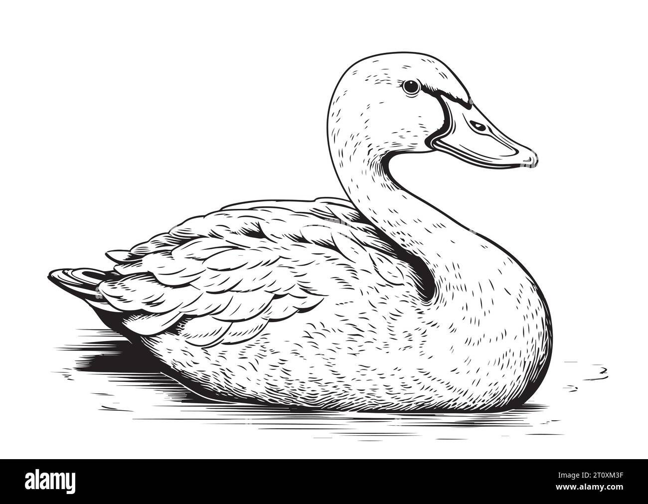 Sweaming Stock Vector Images - Alamy