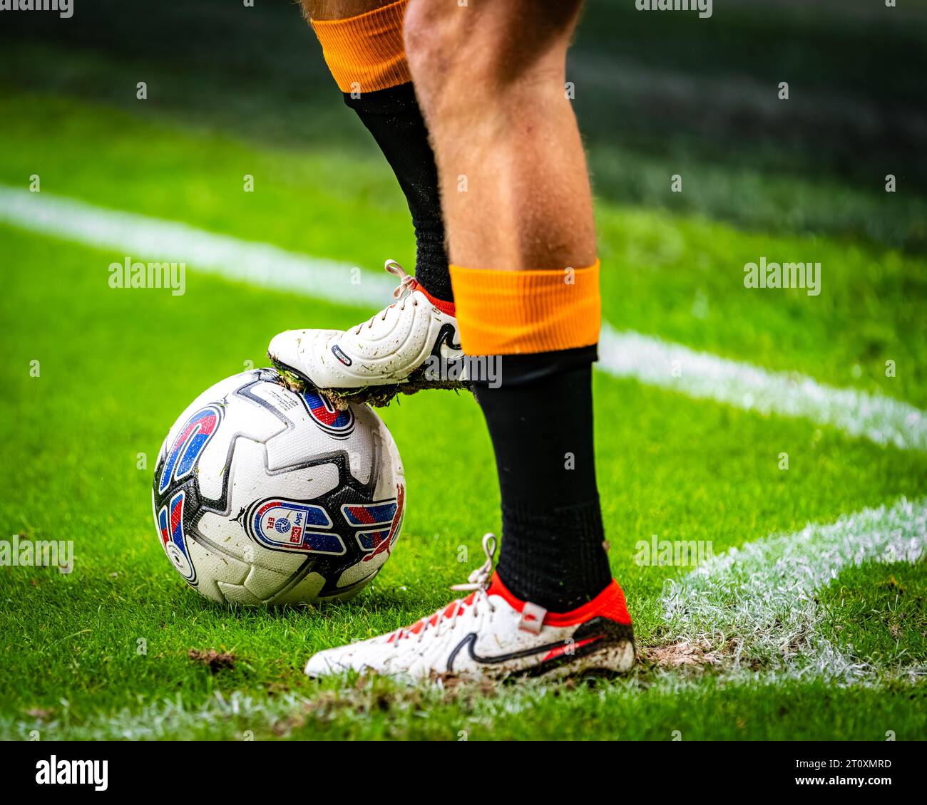 Tyler morton hull hi-res stock photography and images - Alamy