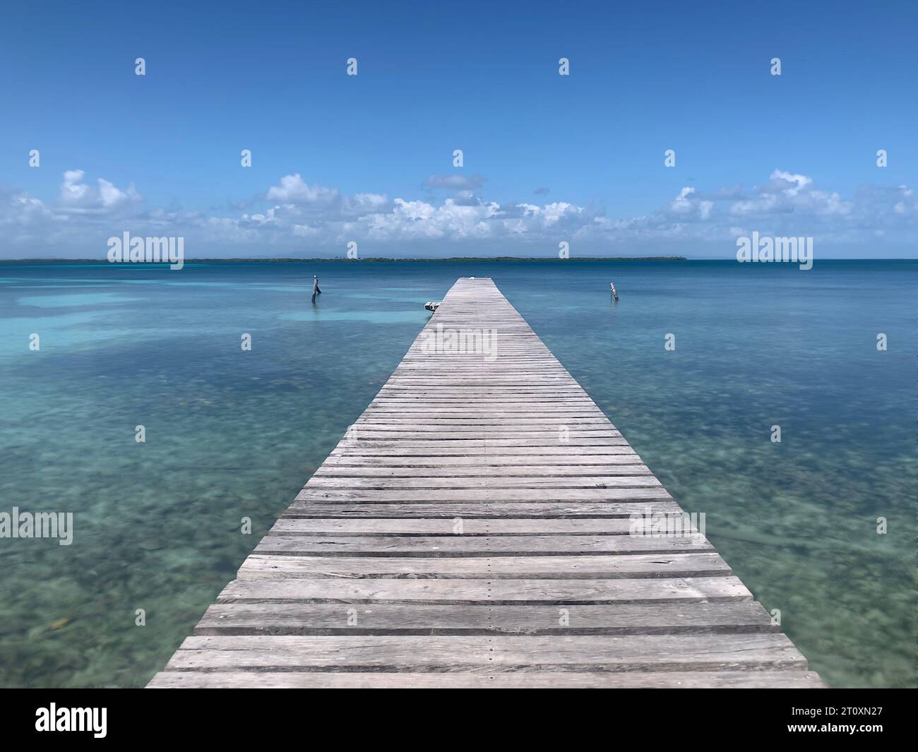 A vibrant dock jutting out into a sparkling ocean with a bright blue ...