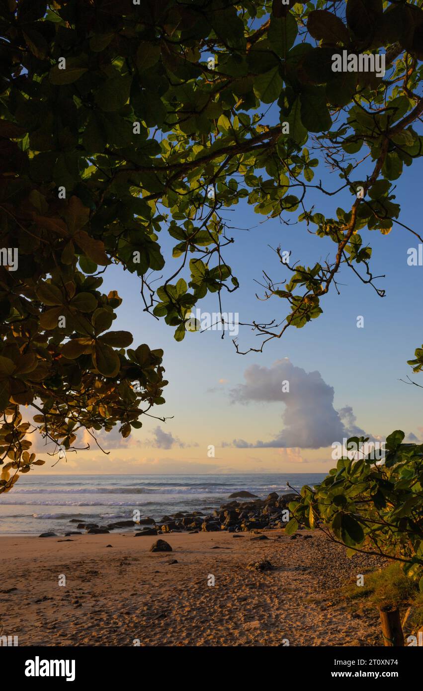 Morning bliss by the beach in Brazil,, pic taken at Geriba Beach ...
