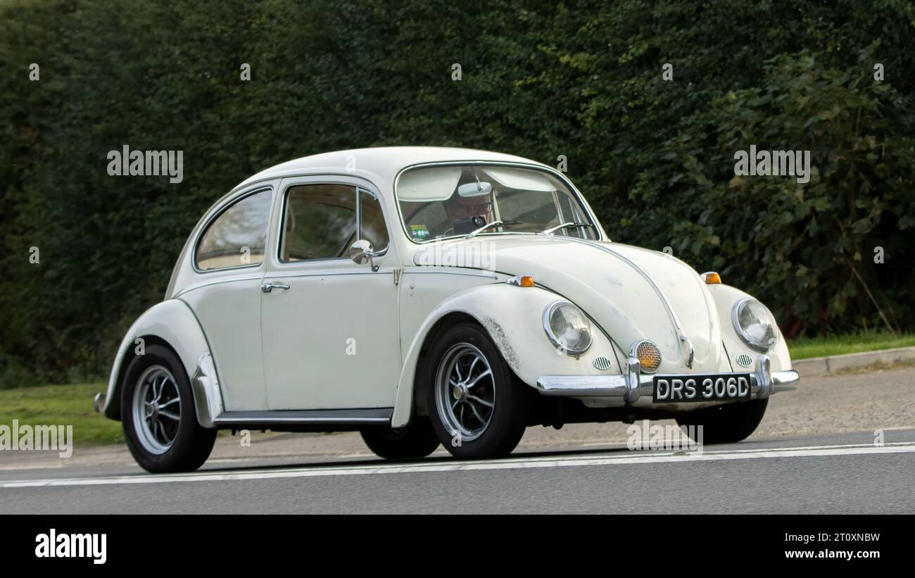 1960s beetle hi-res stock photography and images - Alamy