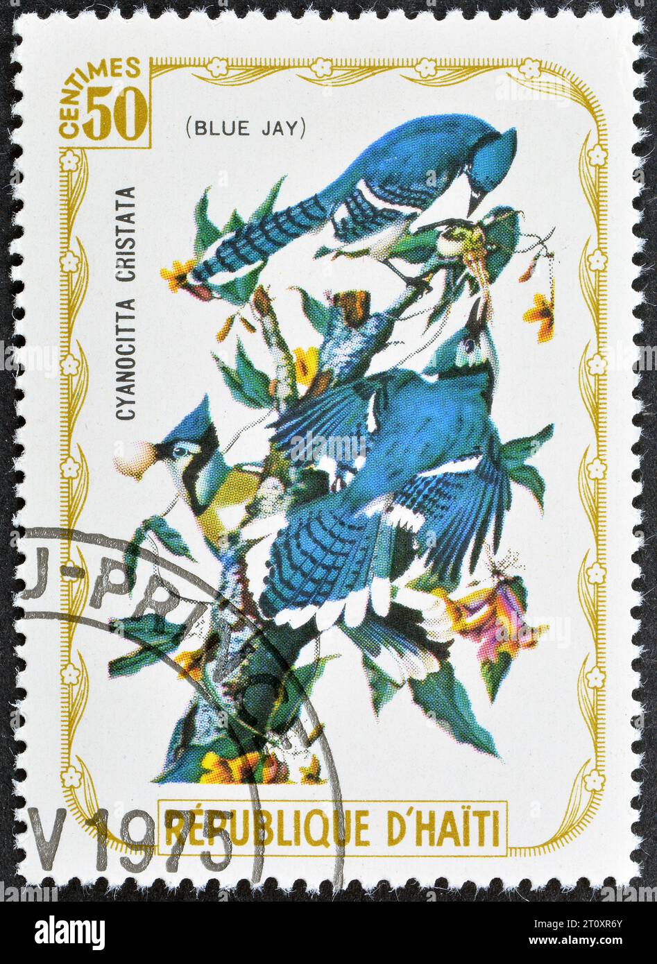 Cancelled postage stamp printed by Haiti, that shows Blue Jay bird ...