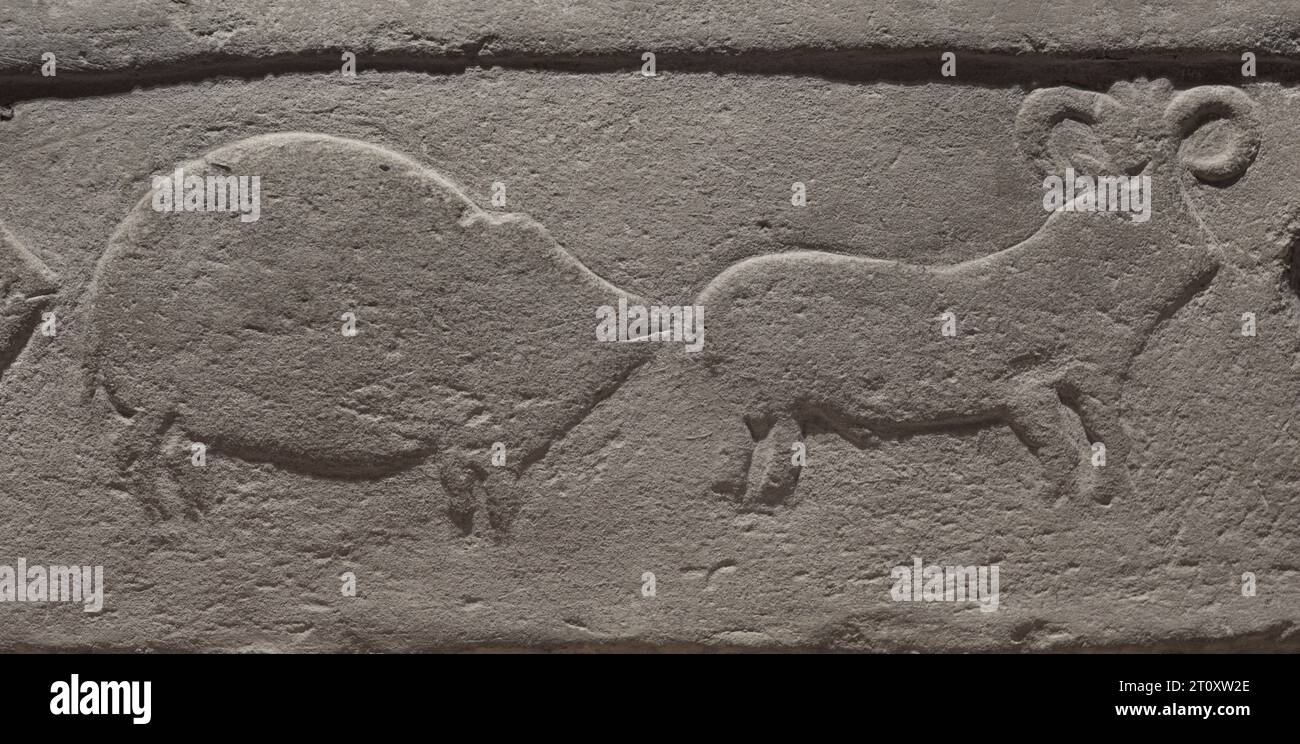 Neolithic Period. Temple Period (3600 to 2500 BC). Tarxien Temple ...