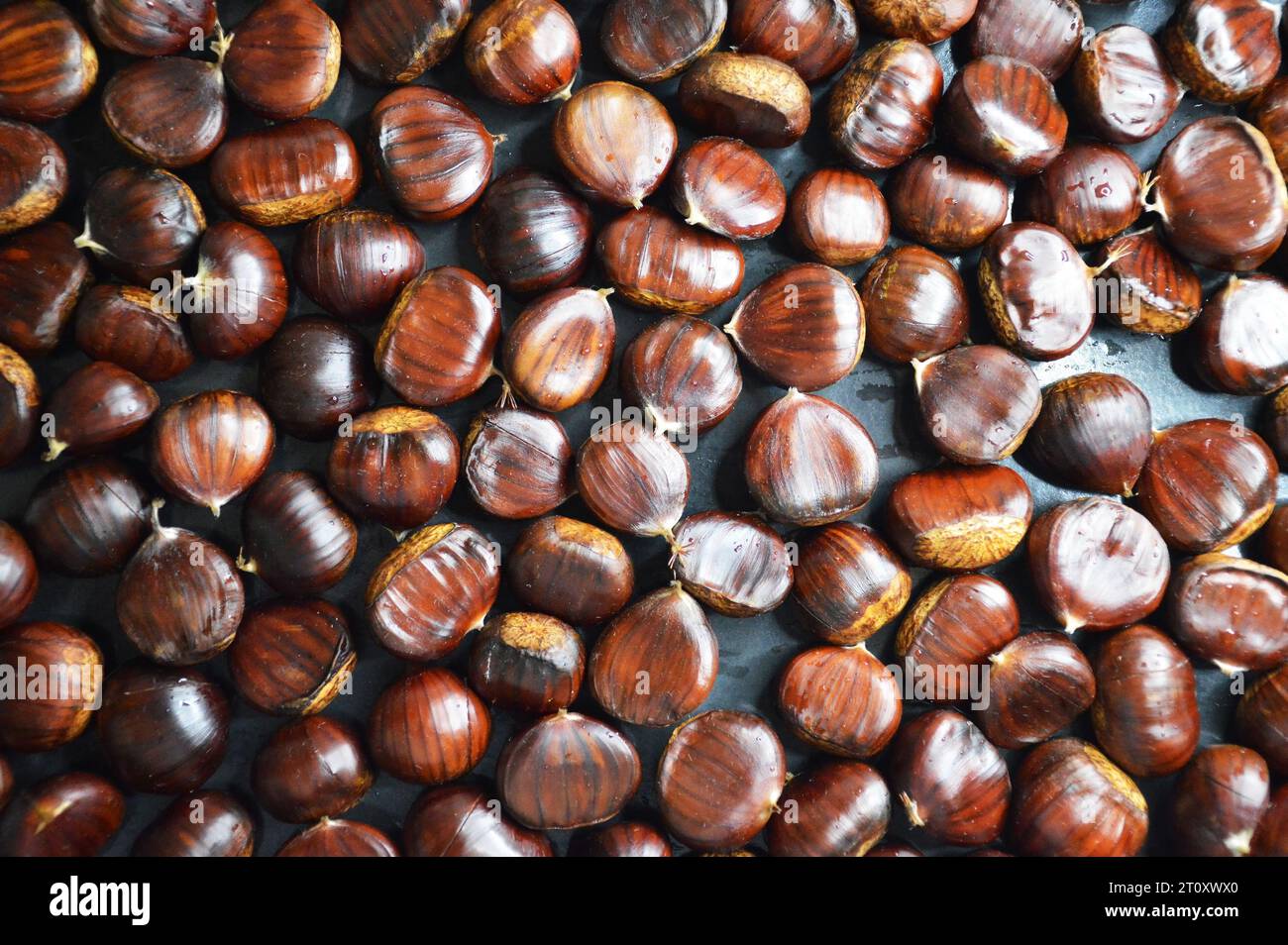 Chestnuts background. Autumn background with edible chestnuts. Flat lay ...