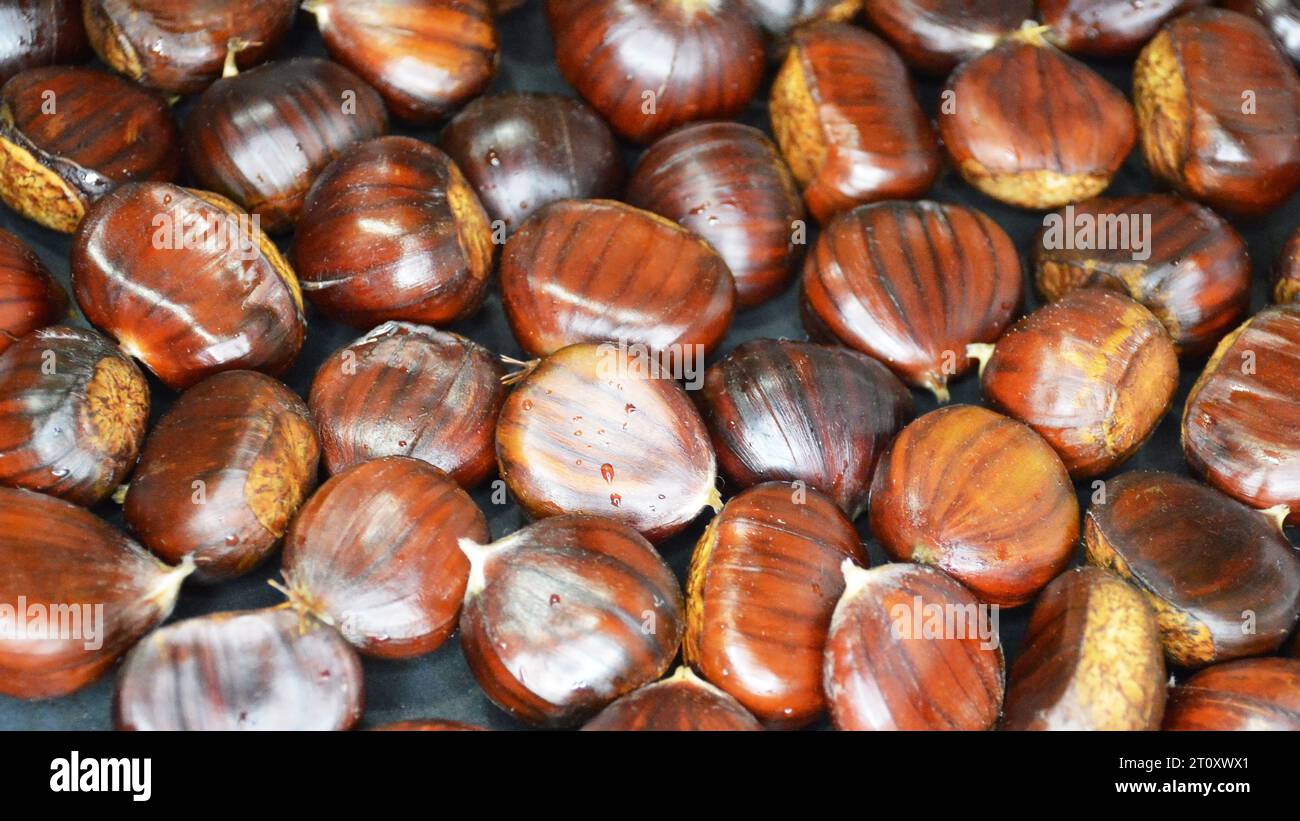 Chestnuts background. Autumn background with edible chestnuts Stock ...