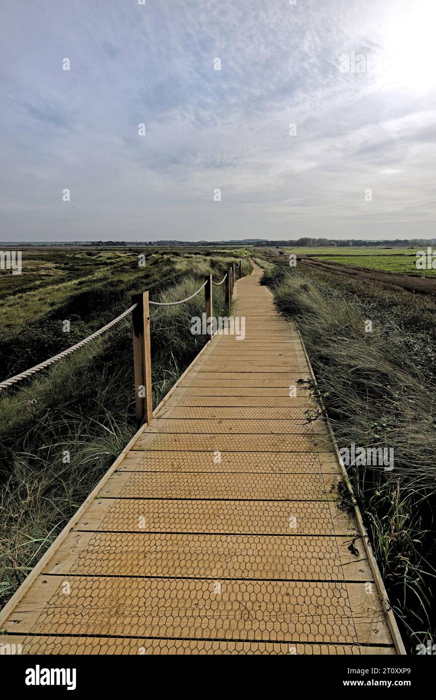The north norfolk coast path at holme Stock Photo - Alamy