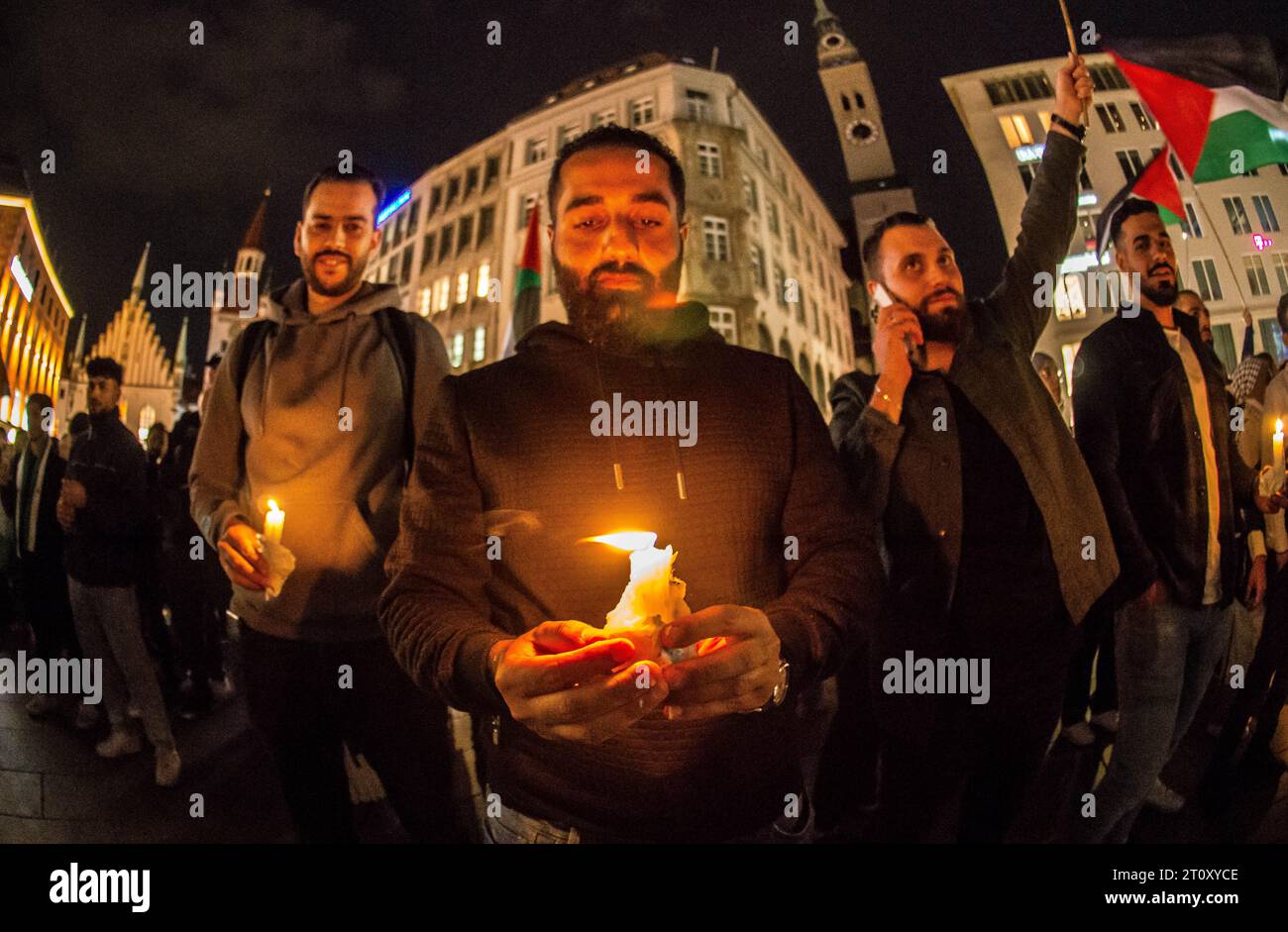 Graue woelfe hi-res stock photography and images - Alamy