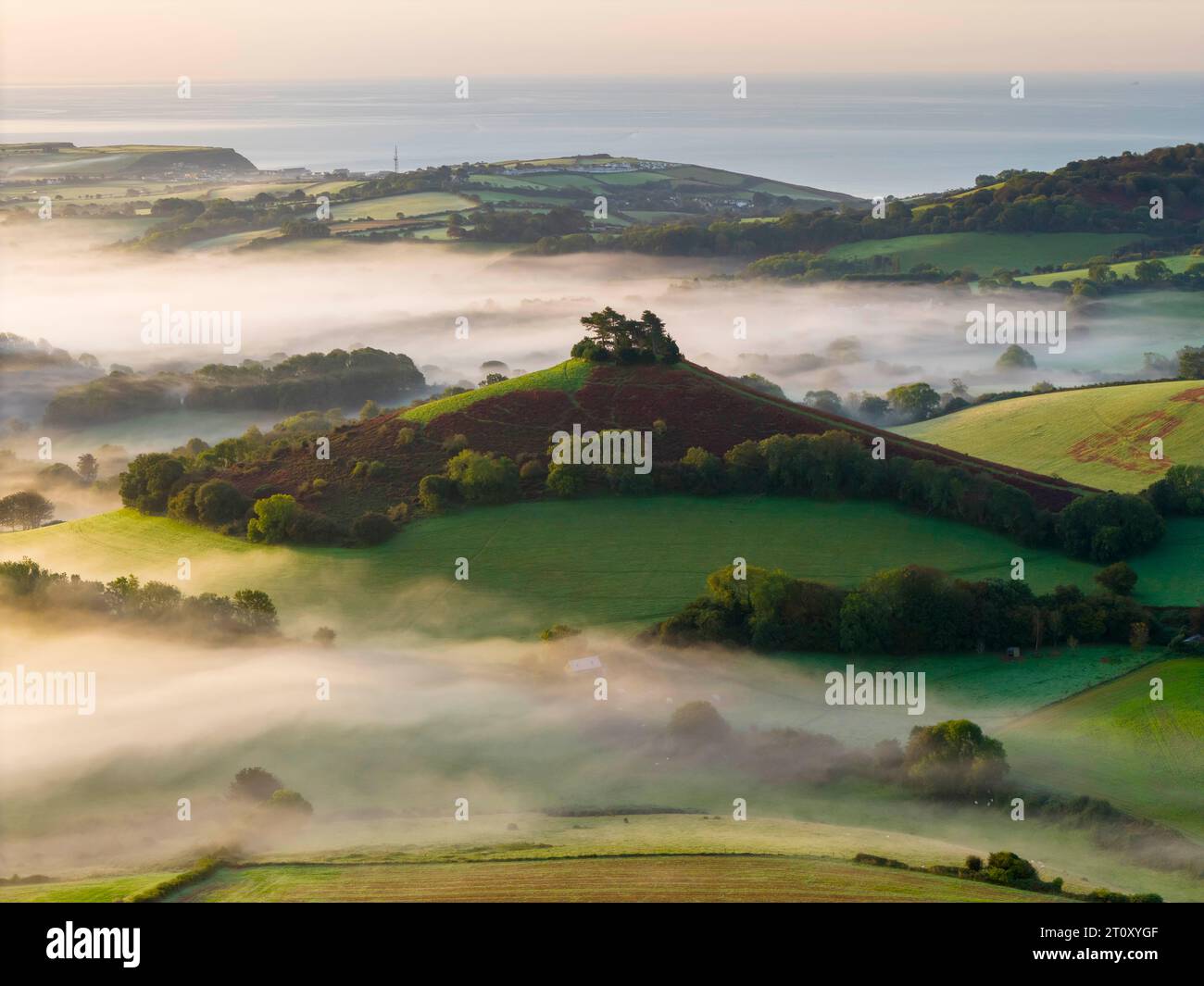 Dorset landscape aerial hi-res stock photography and images - Alamy