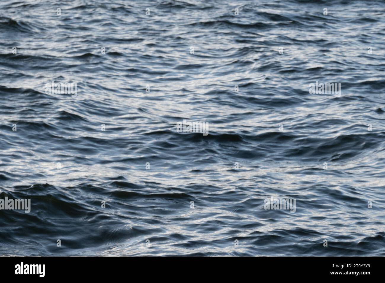 A tranquil landscape featuring a tranquil body of water with gentle ...