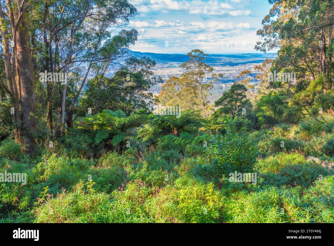 The road ahead on a Winters day in the Monaro Region of NSW, Australia ...