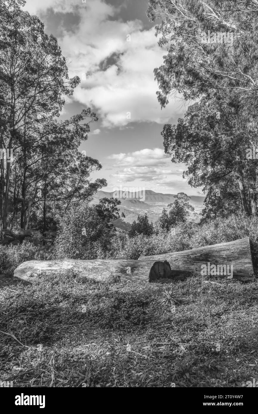 The road ahead on a Winters day in the Monaro Region of NSW, Australia ...