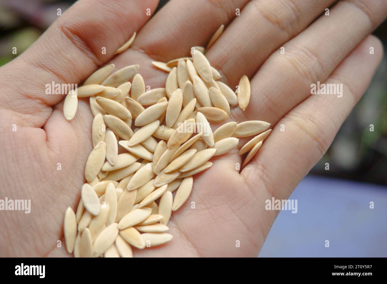 Grain fruit vegetable grains hi-res stock photography and images - Alamy