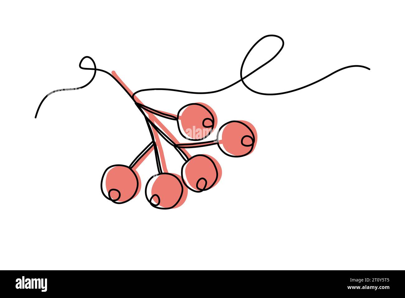 Rowan branch with red berries, line art with color, continuous line ... Rowan branch with red berries, line art with color, continuous line ...