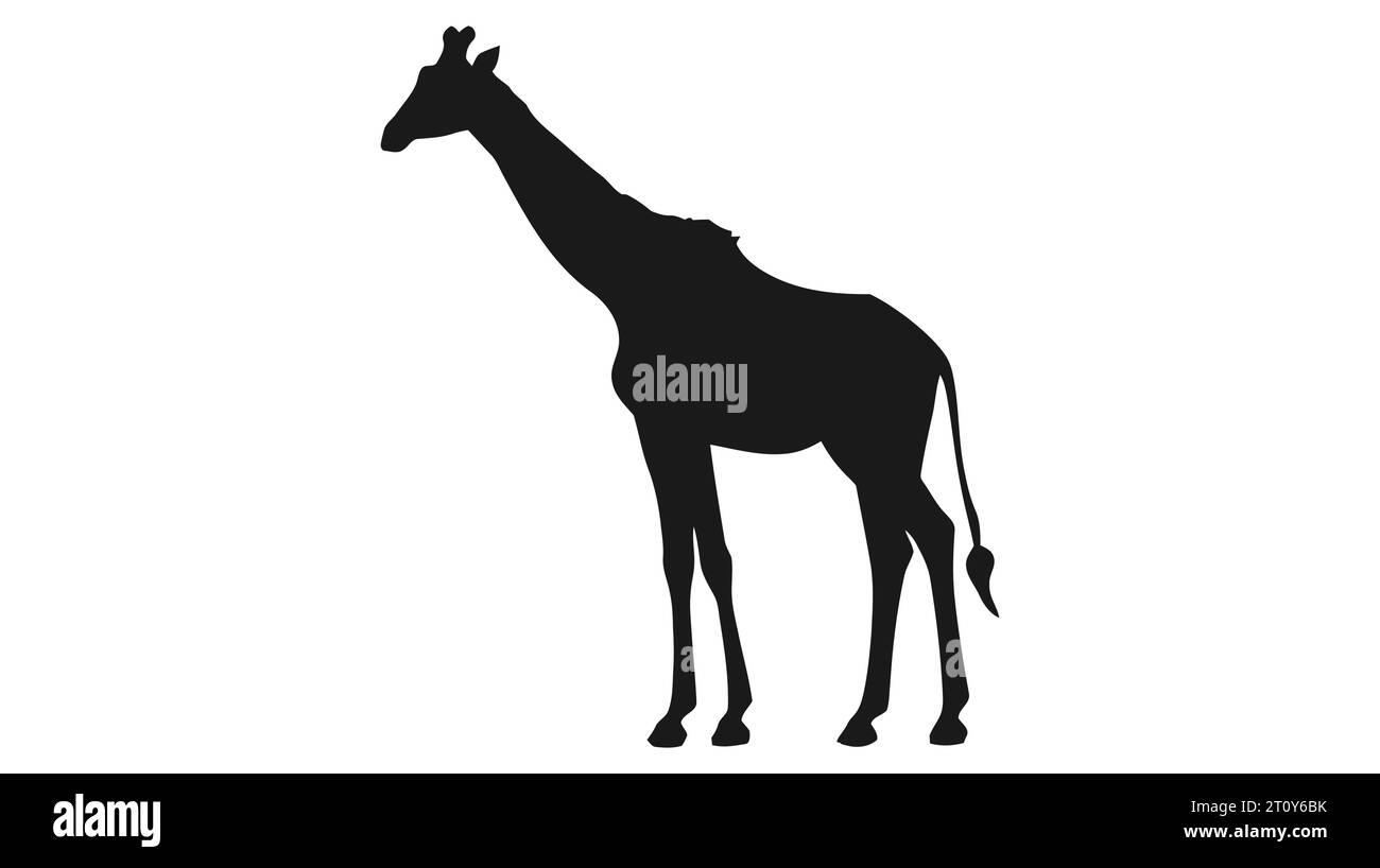 Vector drawing silhouette of a giraffe Cut Out Stock Images & Pictures ...