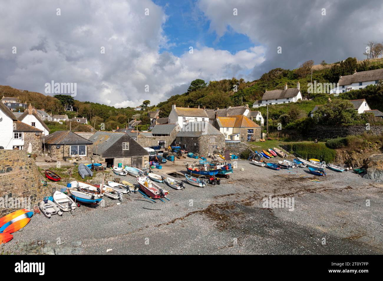 Village lizard hi-res stock photography and images - Alamy