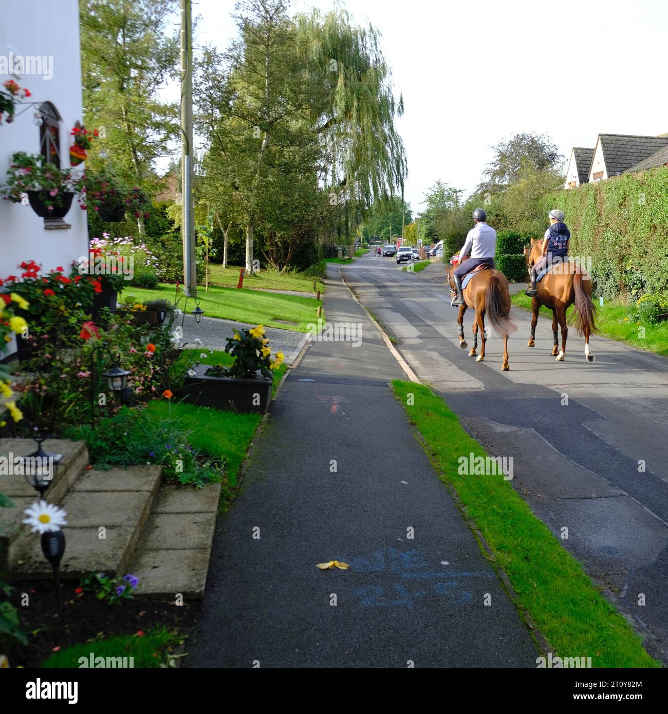 Horse riders at Frankton High street Stock Photo - Alamy