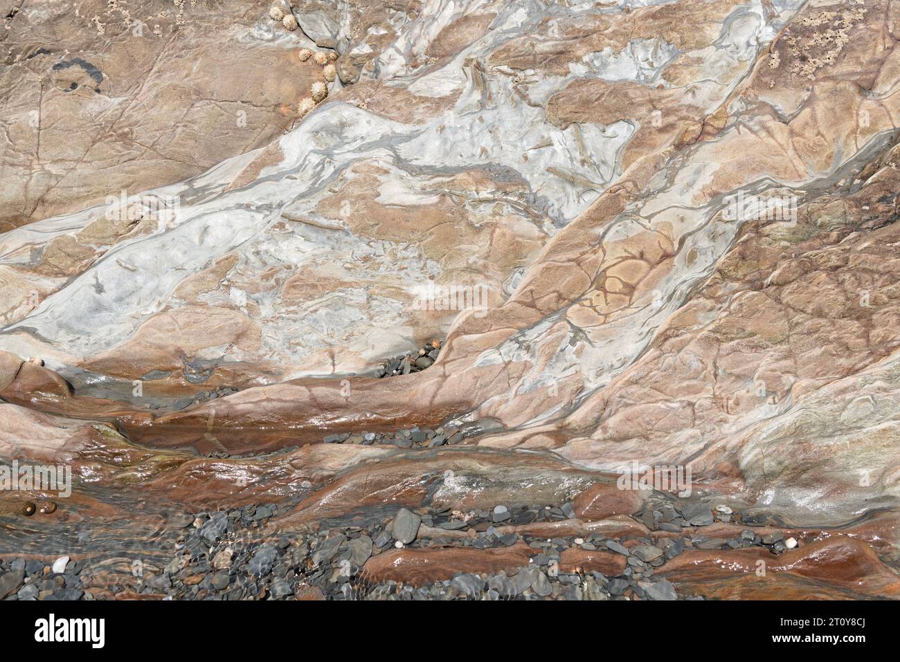 Pink rock formation on the beach in North Devon Stock Photo - Alamy