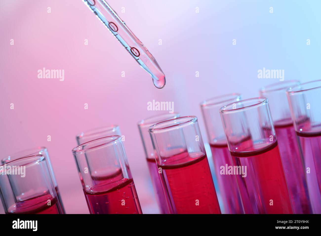 Dripping reagent into test tube with red liquid, closeup. Laboratory ...