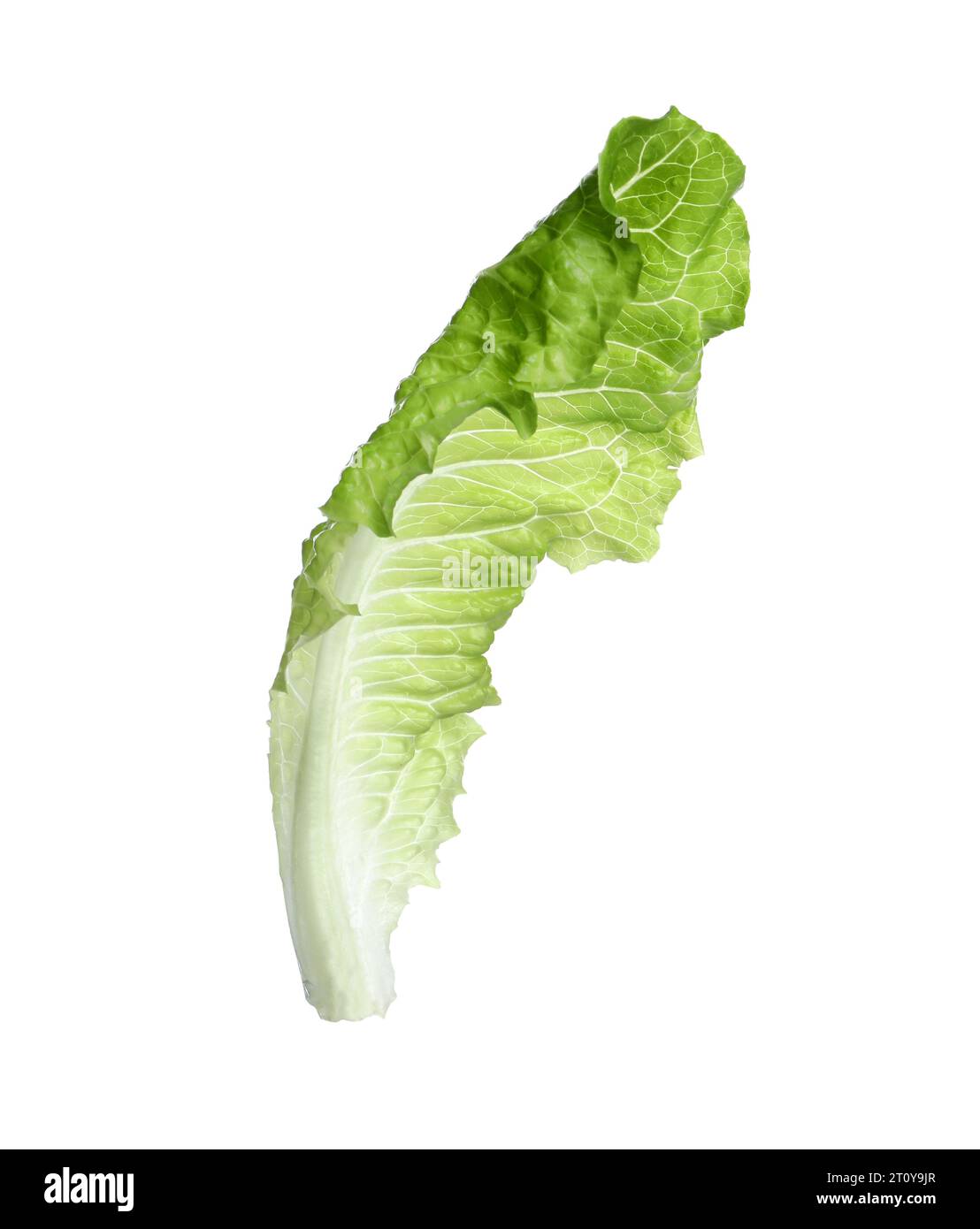 Fresh leaf of green romaine lettuce isolated on white Stock Photo - Alamy