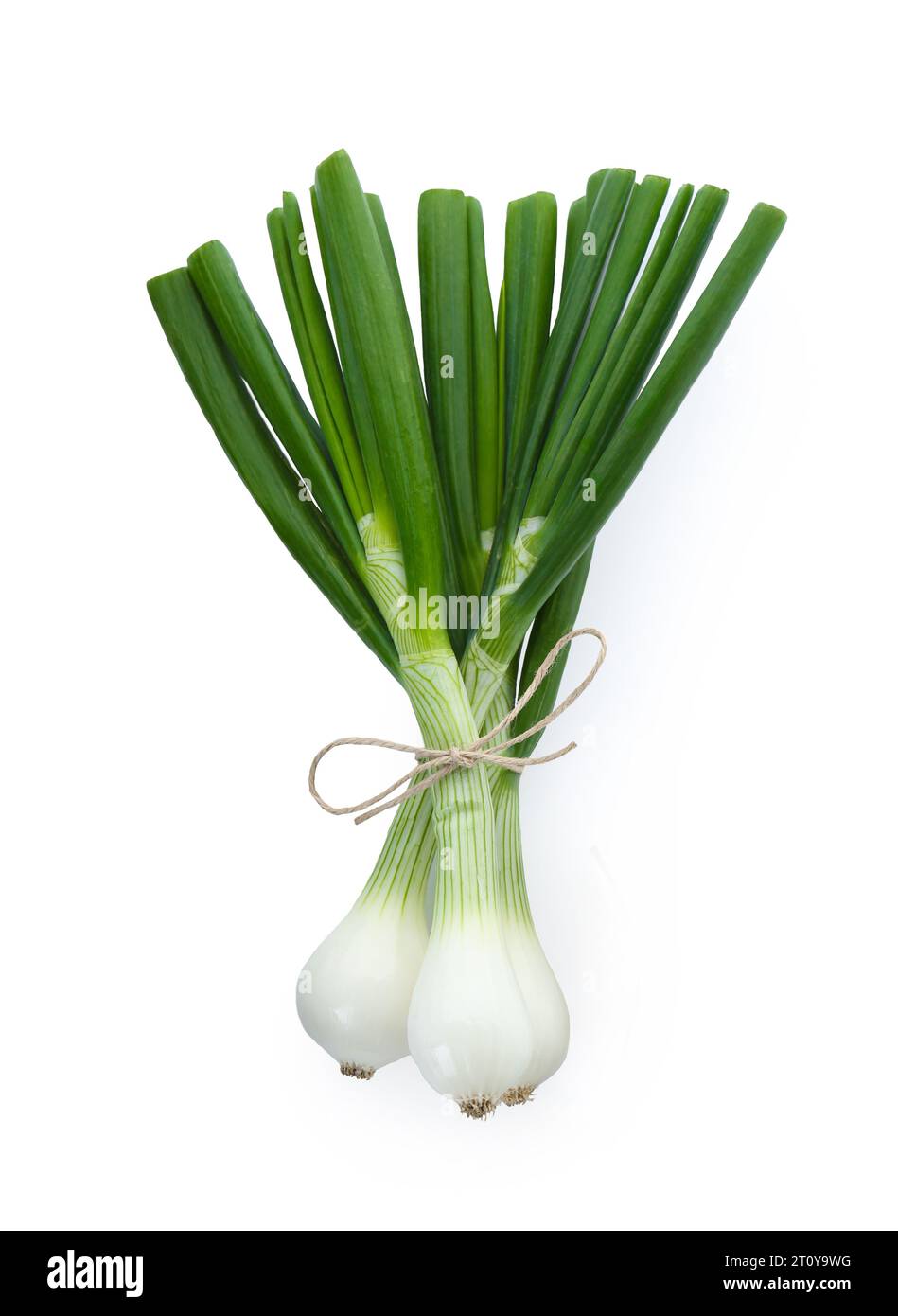 Whole green spring onions isolated on white, top view Stock Photo - Alamy