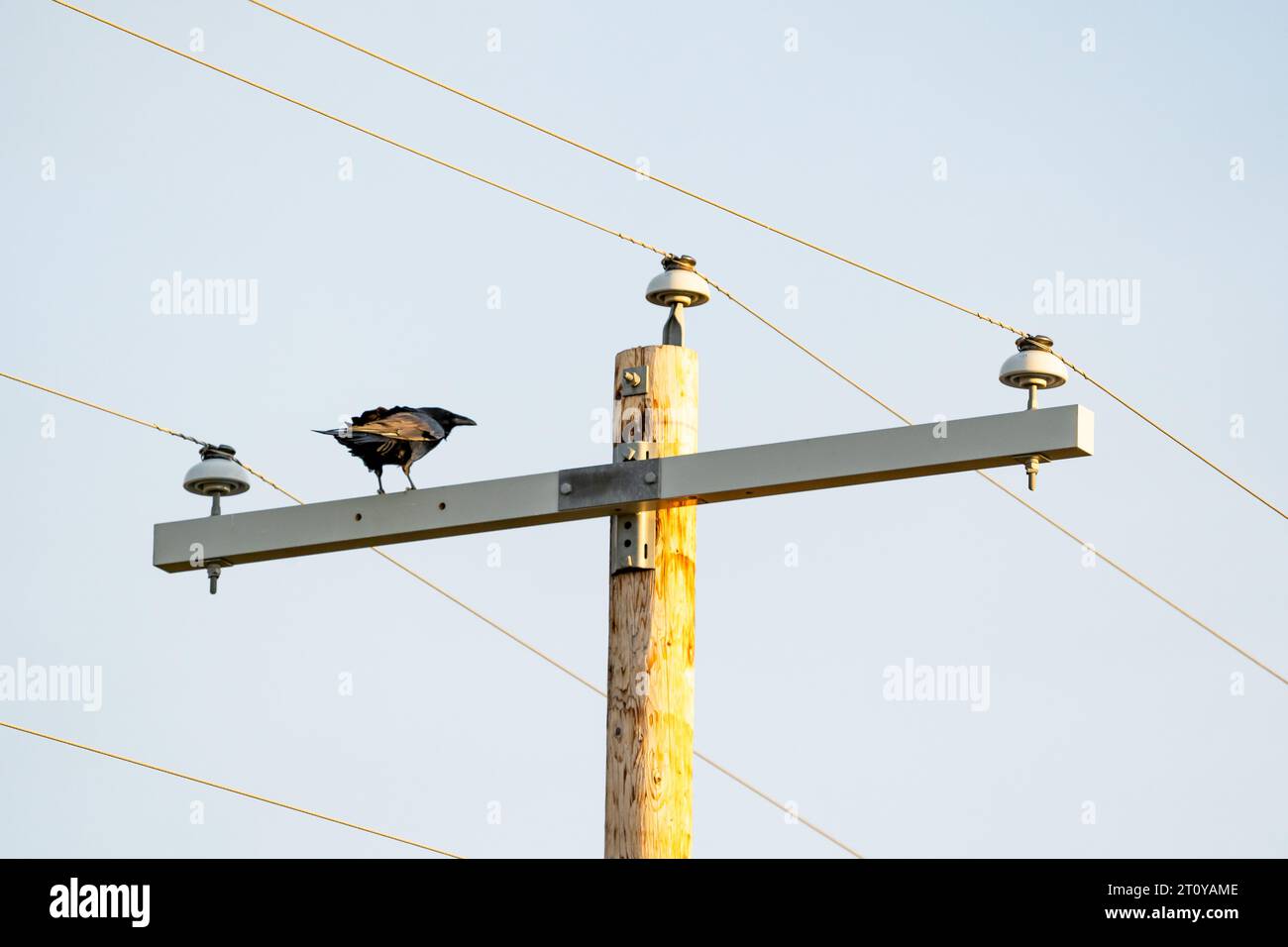 Power utility street light pole hi-res stock photography and images - Alamy