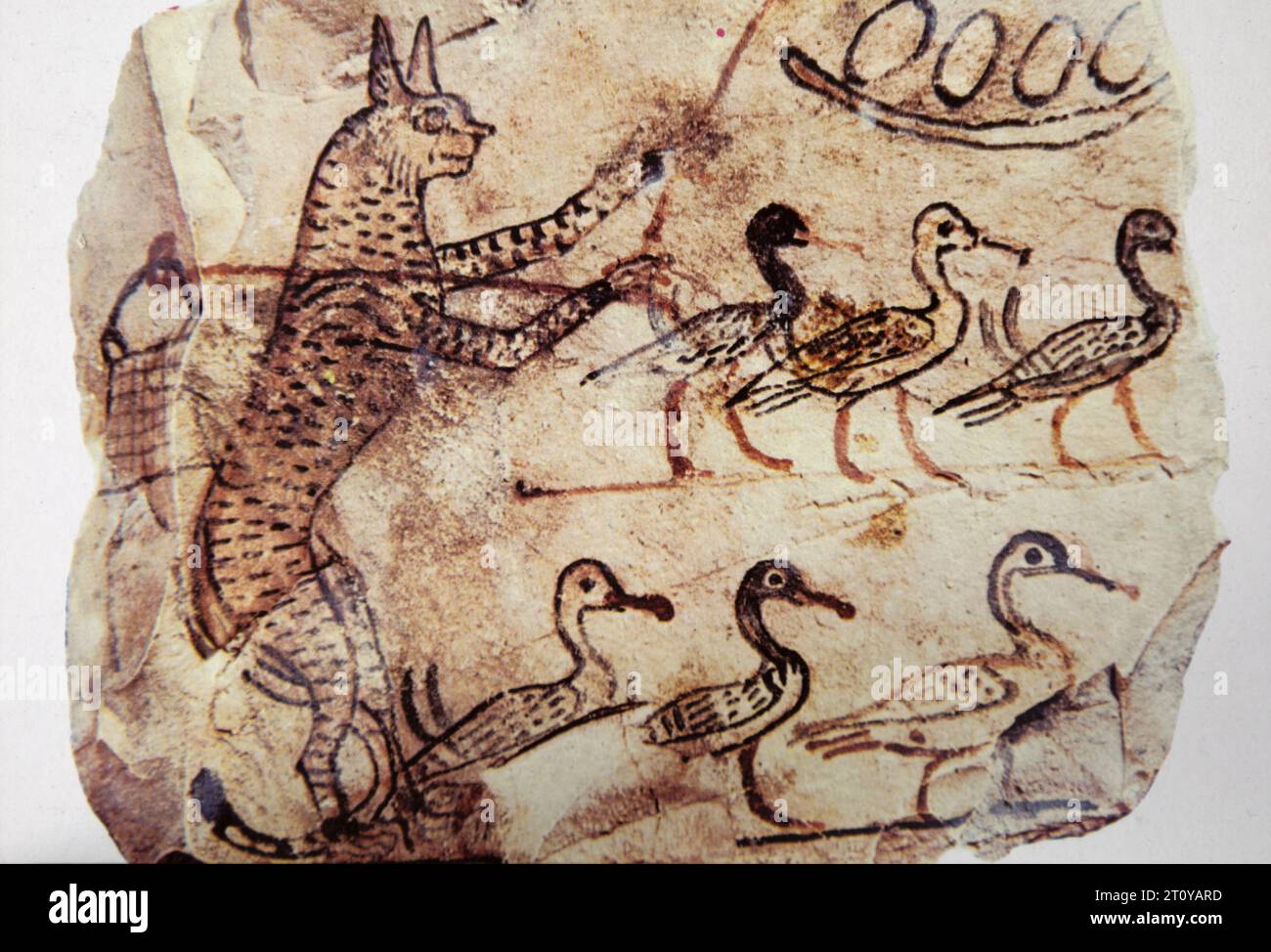 Cat driving a gaggle of geese; ancient Egyptian artwork on a fragment ...