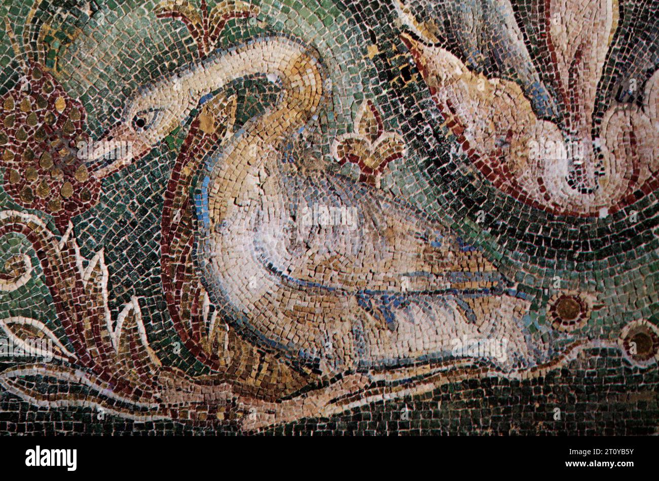 Detail of mosaic (a swan) from the apse of the Basilica of Constantine ...