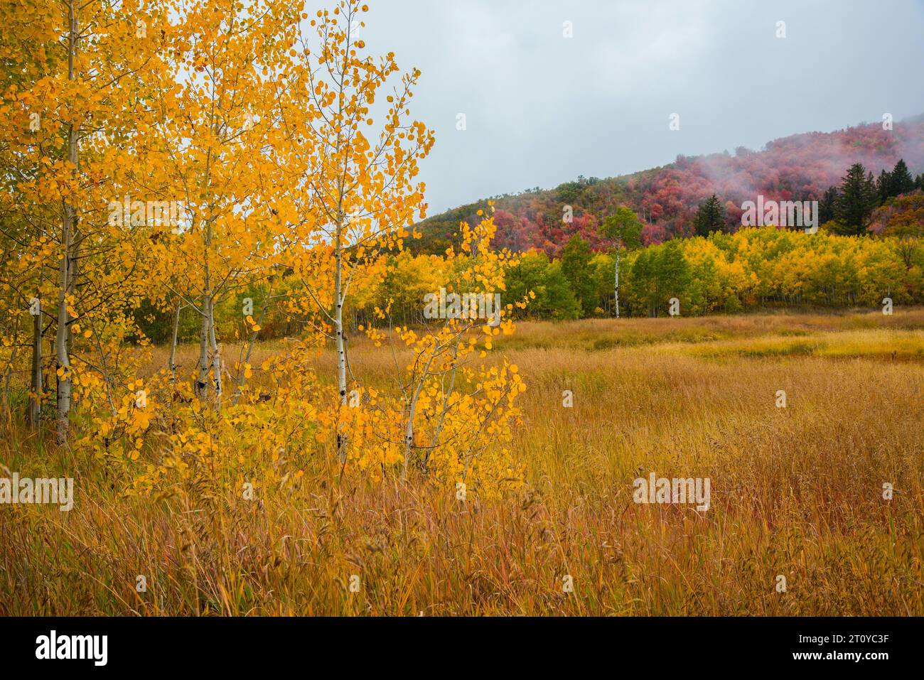 Autumn colors and majestic scenery along the famous Alpine Loop, Utah ...