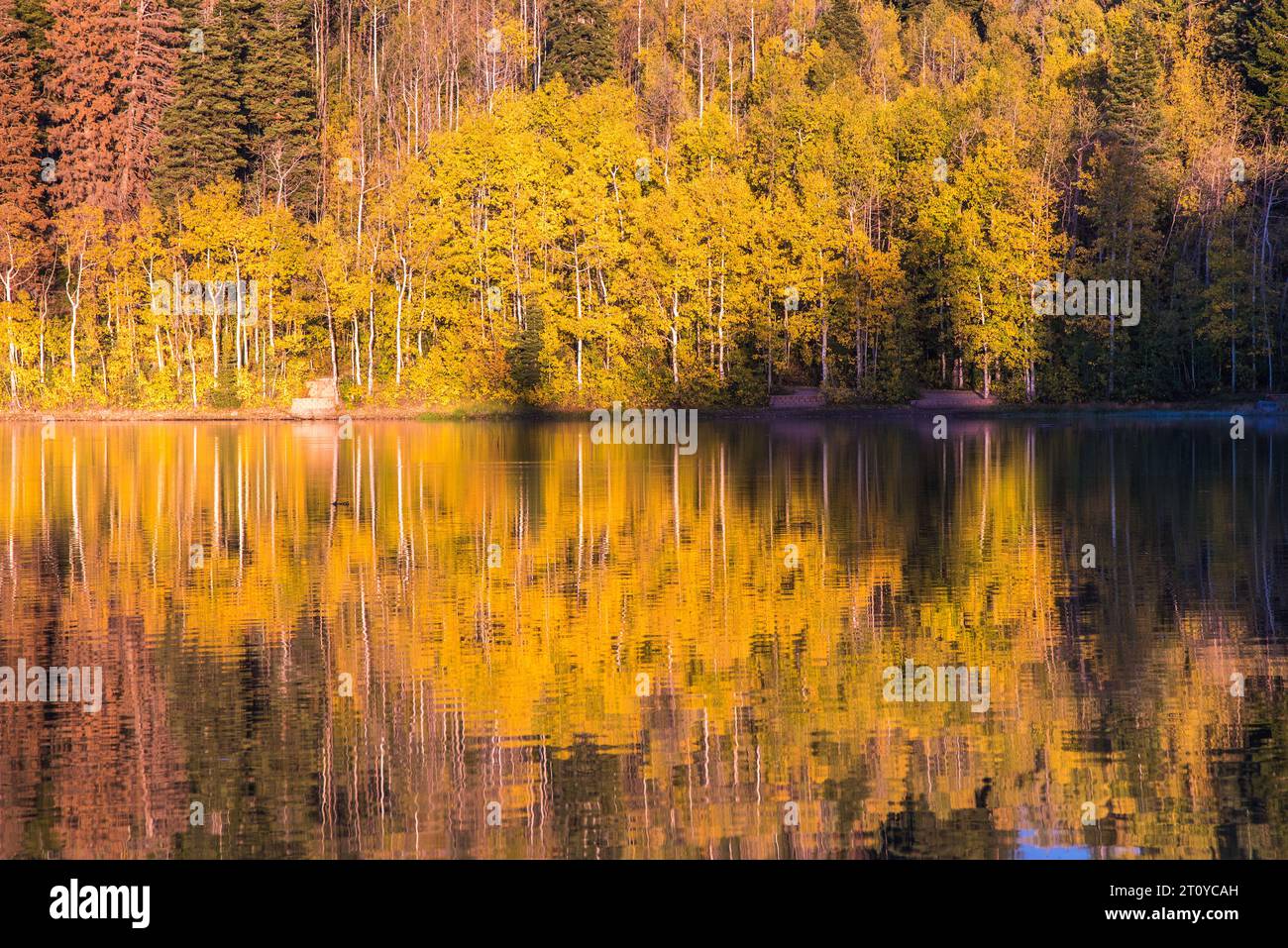 Mt nebo scenic loop hi-res stock photography and images - Alamy