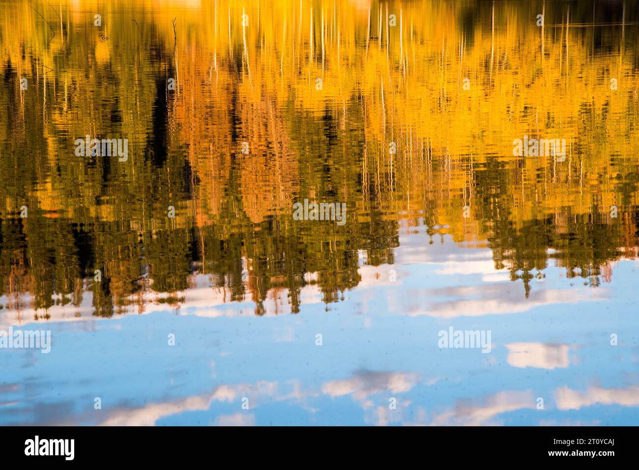 Mt nebo scenic loop hi-res stock photography and images - Alamy