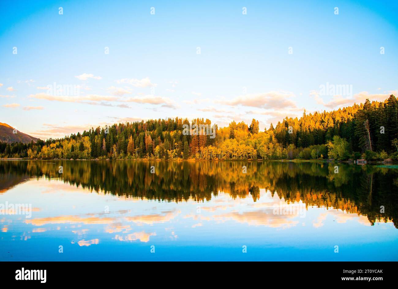 Maple and aspen reflections in Payson Lakes. Mt. Nebo Scenic Loop Stock ...